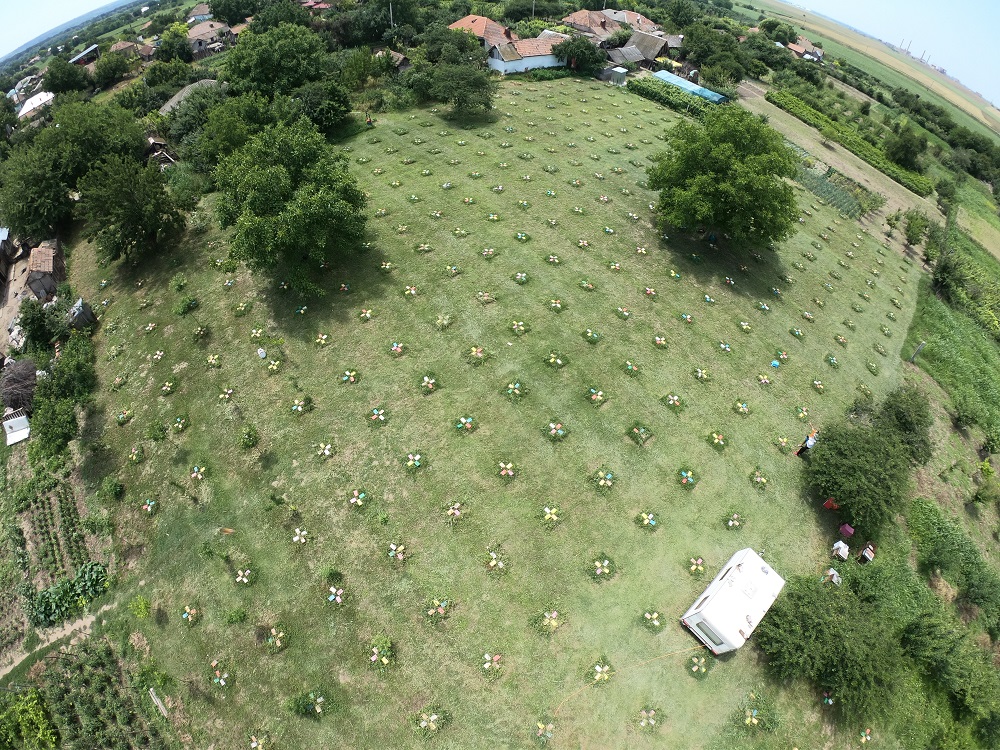 Galerie - Apis Donau France